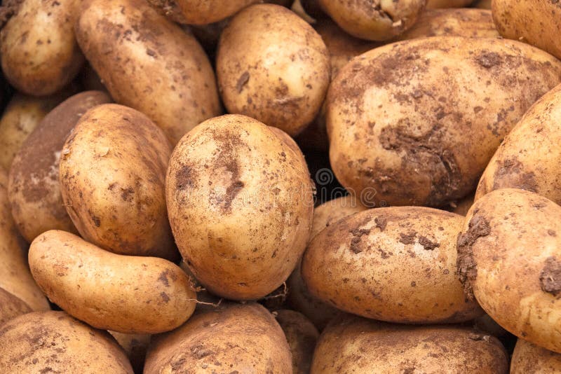 Raw potatoes on a market stock image. Image of potato - 222729329