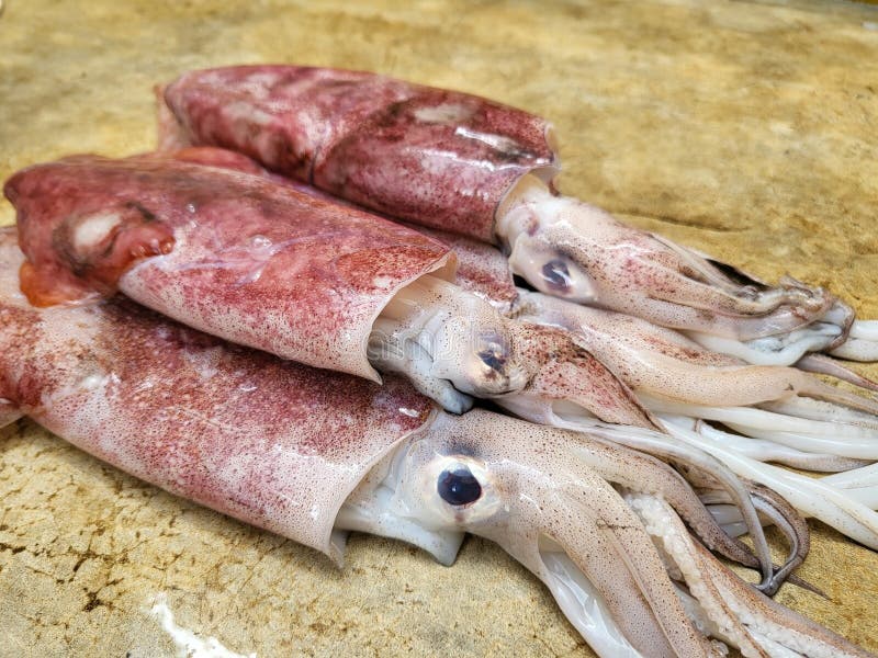 A Pile of Raw Squid on a Stone Table Stock Image - Image of cuttlefish ...