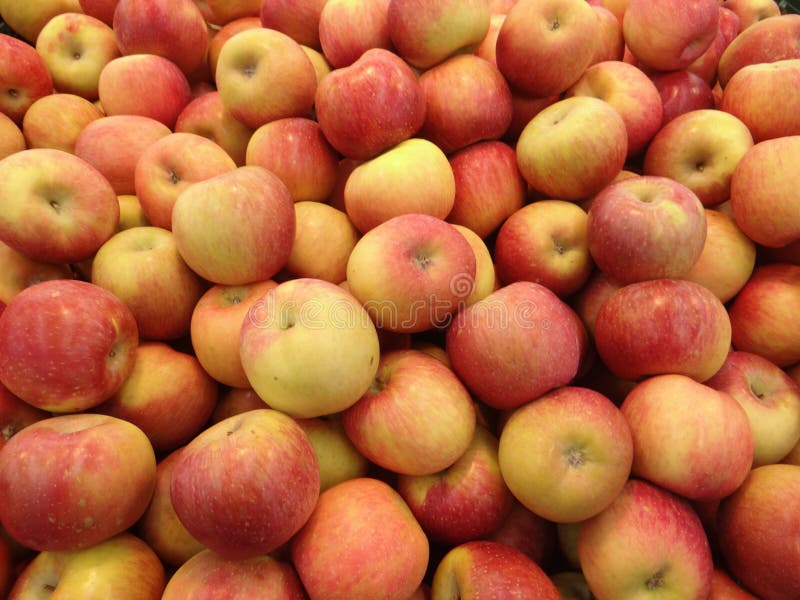 Pile of red apple stock image. Image of group, fresh - 201503699