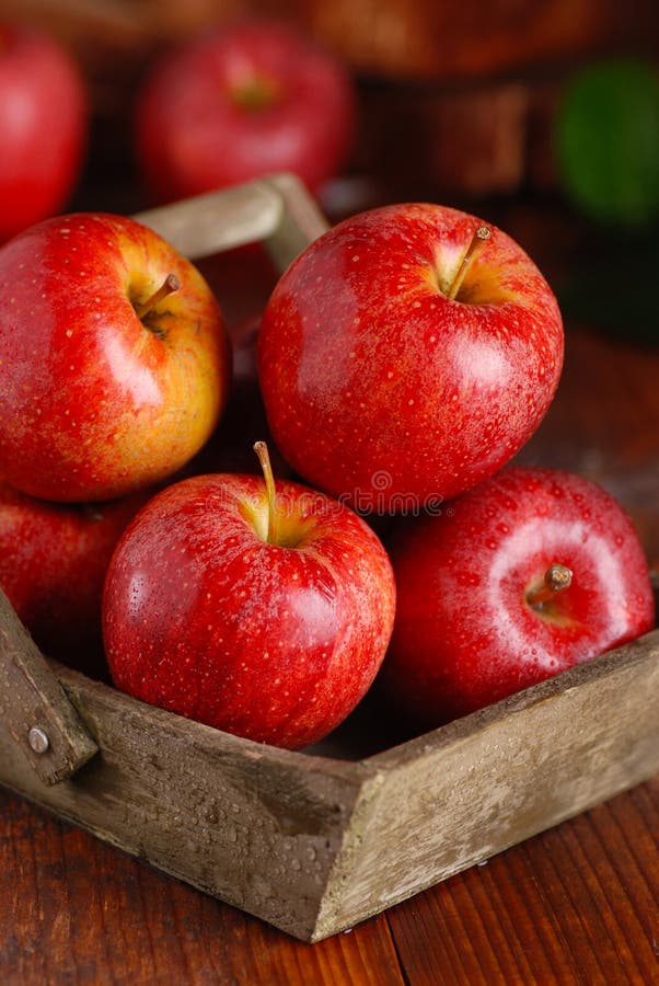 Pile of red apples stock photo. Image of eating, delicious - 38908384