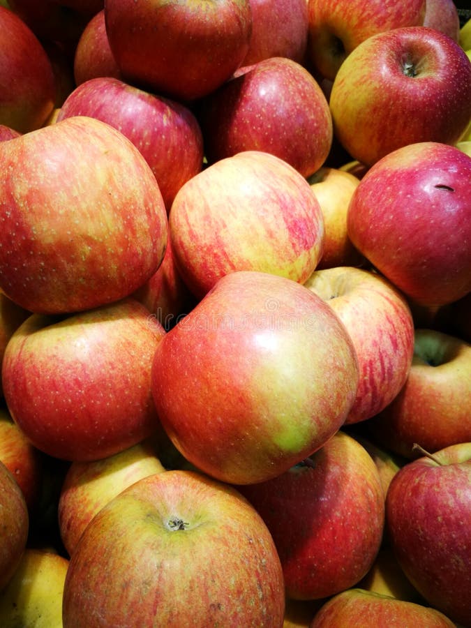 Red apples stock image. Image of organic, fresh, fruit - 86021453