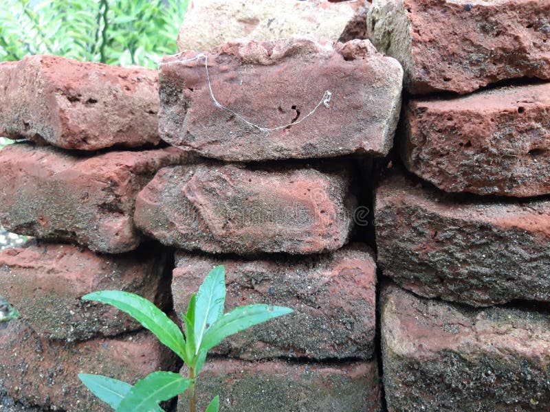 Pile of Red Bricks and Small Leaves Stock Image - Image of small, pile ...