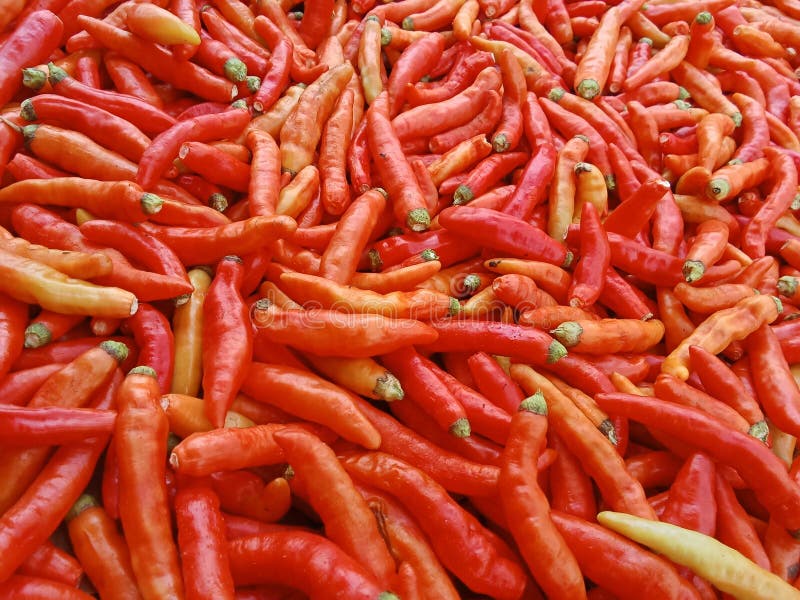 A Pile of Red Cayenne Pepper . Stock Photo - Image of ingredient, chile ...