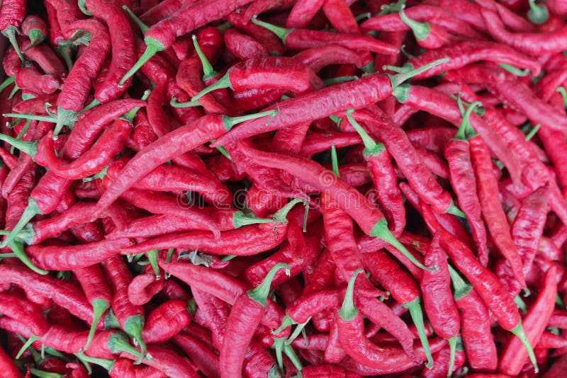 A Pile of Red Chilies Shot High Angle Stock Image - Image of dish ...