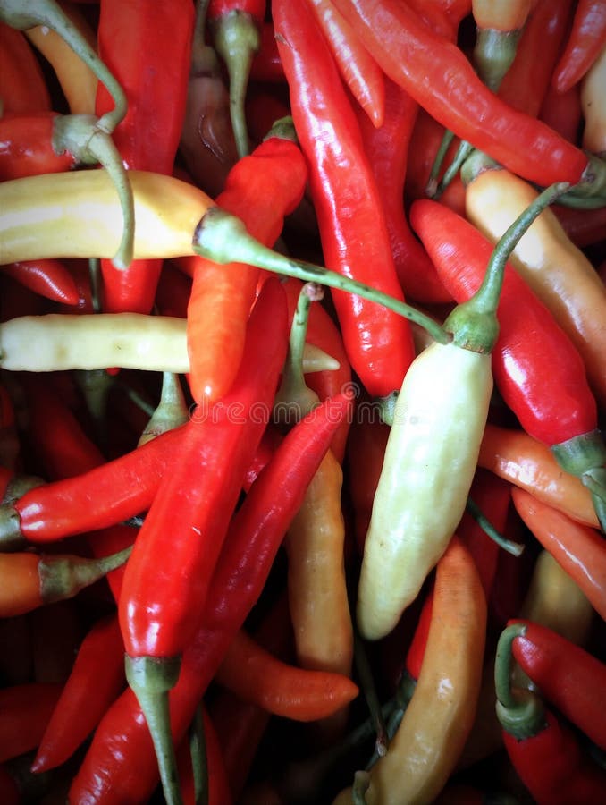 Pile of Red Chilies with Red Yellow and Green Colors Stock Photo ...