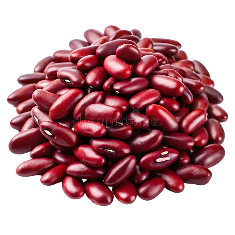 Pile of Red Kidney Beans stock illustration. Illustration of protein ...