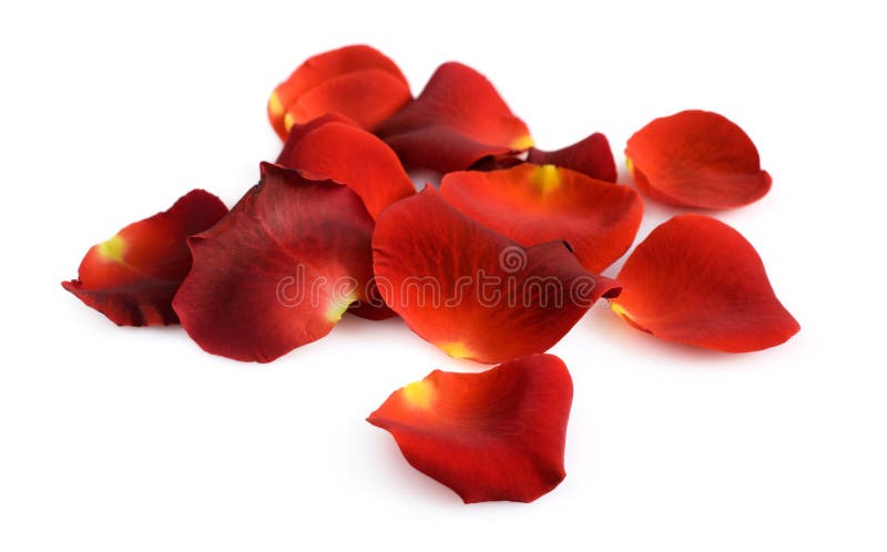 A pile of red rose petals stock image. Image of heap - 68681389
