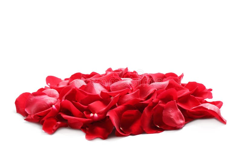 1,382 Pile Red Rose Petals Photos - Free & Royalty-Free Stock Photos ...