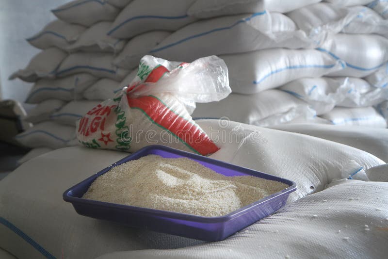 Pile of rice grain stock photo. Image of horizontal - 263359994