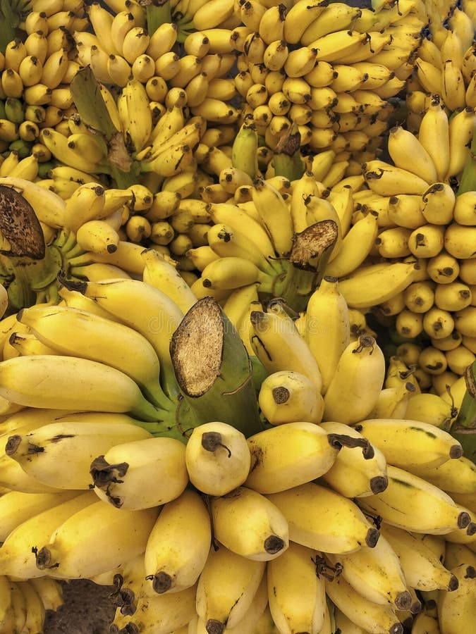 Pile of Ripe Bananas As a Background Stock Image - Image of sweet ...