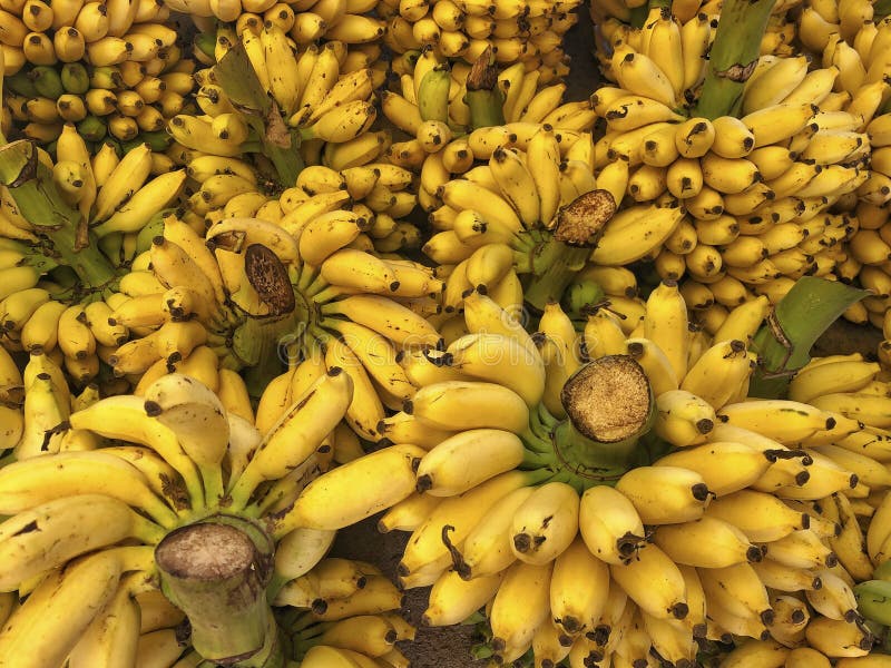Pile Of Bananas In Banana Shop In Kerala, India Stock Photo - Image of ...