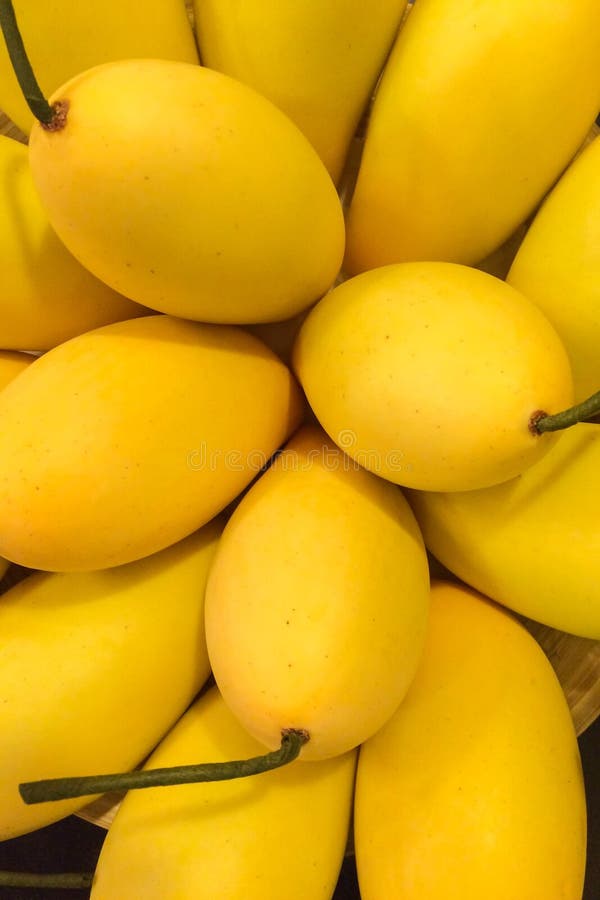 A yellow mangoes so yummy stock photo. Image of crop - 240927108