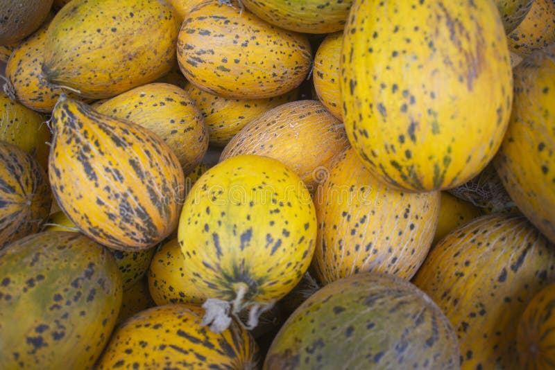 A Pile of Ripe, Yellow Melons with Dark Green Spots Stock Image - Image ...