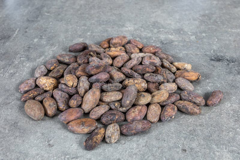 Cocoa beans stock photo. Image of roasted, kitchen, spoon - 197085936