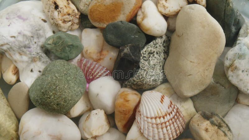 Pile of Rocks and Shells with Various Sizes and Colors in Water Stock ...
