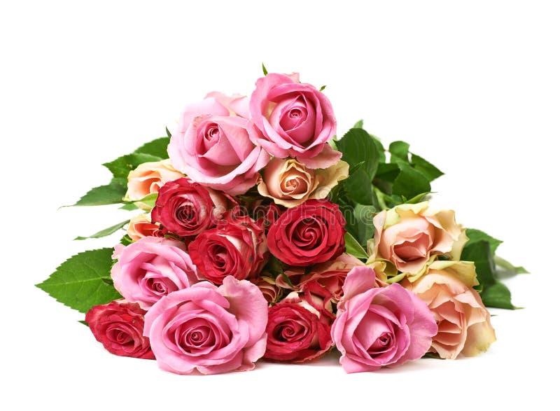 Pile of Rose Flowers Isolated Stock Photo - Image of bunch, pile: 68562740