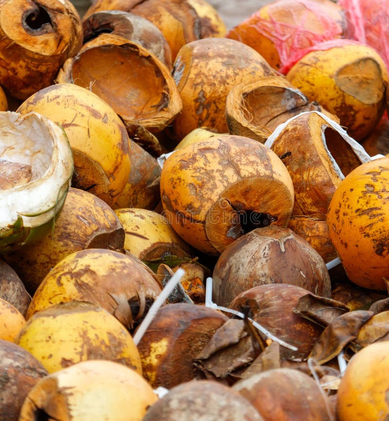 A Pile of Coconuts Next To a Whole Coconut Stock Photo - Image of ...