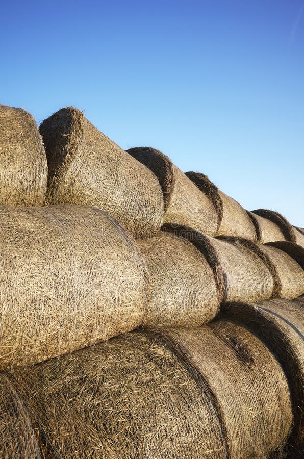 Pile of Round Hay Bales at Sunset Stock Image - Image of roll, nature ...