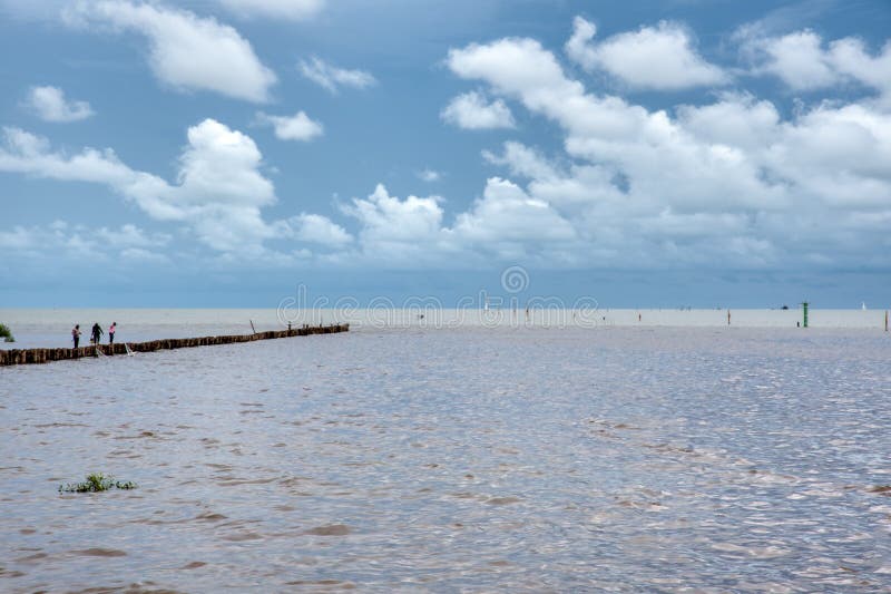 Pile in a Row of Log Jetty by the Sea Stock Image - Image of leisure ...