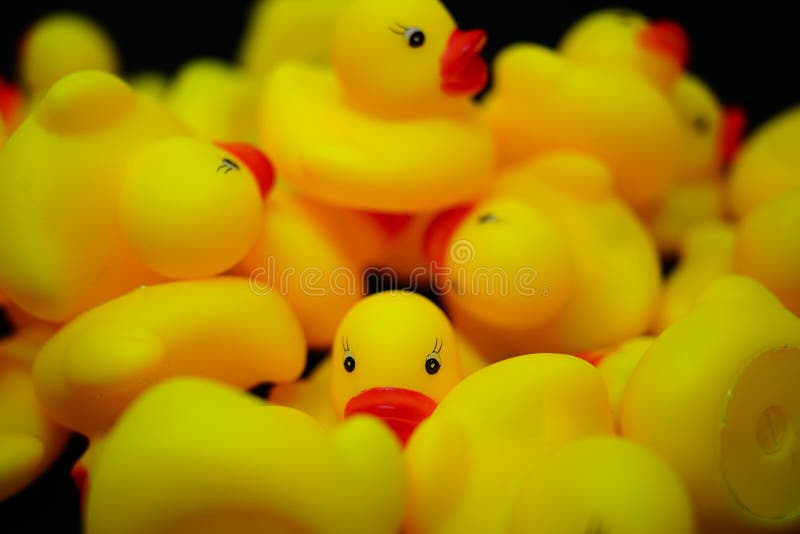 A Pile of Rubber Ducks Yellow and Black Stock Photo - Image of black ...