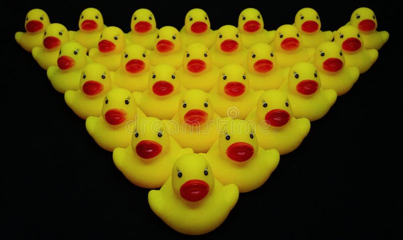 A Pile of Rubber Ducks in Yellow and Black Triangle Stock Image - Image ...