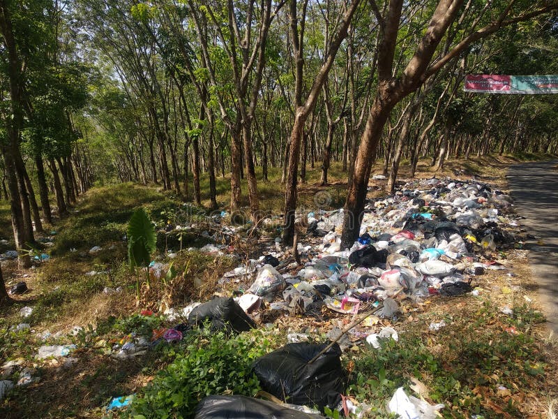 Pile of Rubbish in a Rubber Plantation Stock Photo - Image of wildlife ...