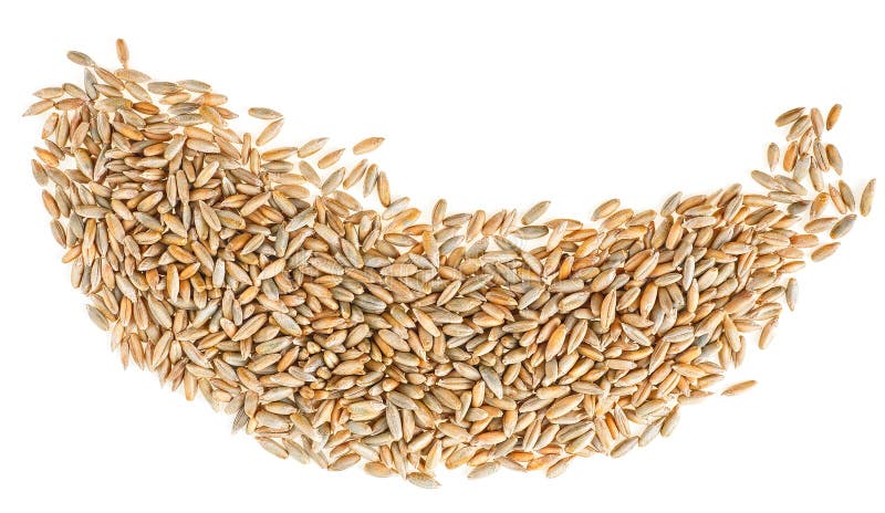 Pile of Rye Grains Isolated on White Background, View from Above ...