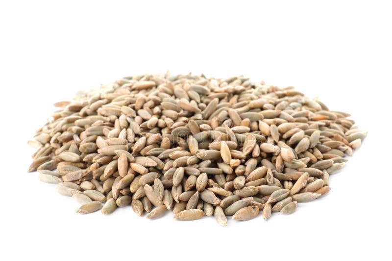 Pile of Rye Grains on White Background. Cereal Crop Stock Photo - Image ...