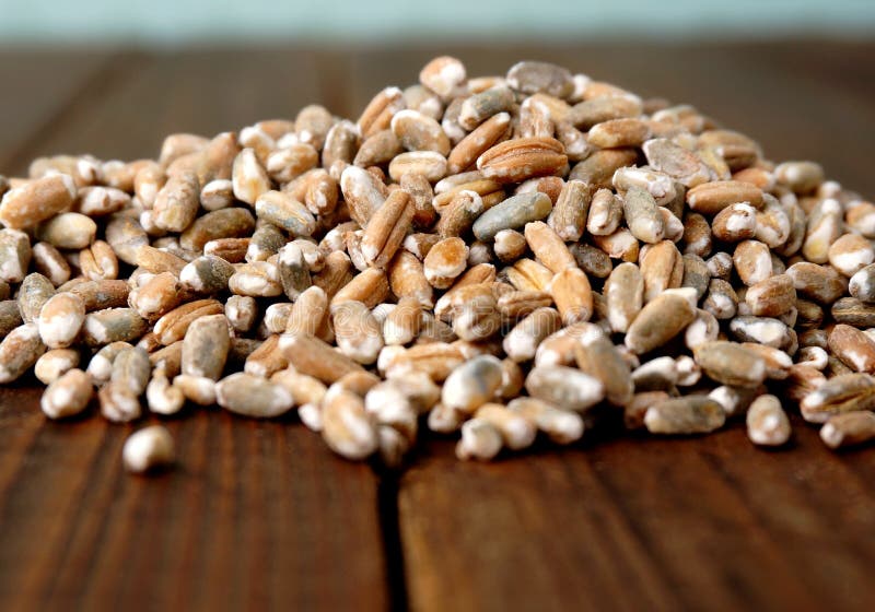 Pile of rye stock photo. Image of brown, pearl, wood - 42321058