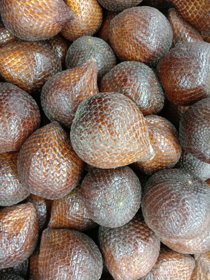 Pile of Salak Fruit that Looks Fresh Stock Image - Image of agriculture ...