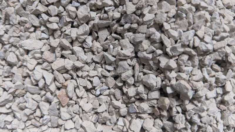 Pile of sand for cat feces stock image. Image of gravel - 231664749
