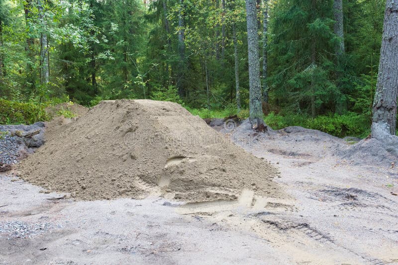 A Pile of Sand in the Forest Stock Photo - Image of colorful, coast ...