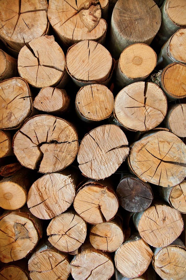 Pile of sawn logs stock image. Image of timber, fuel - 24020507
