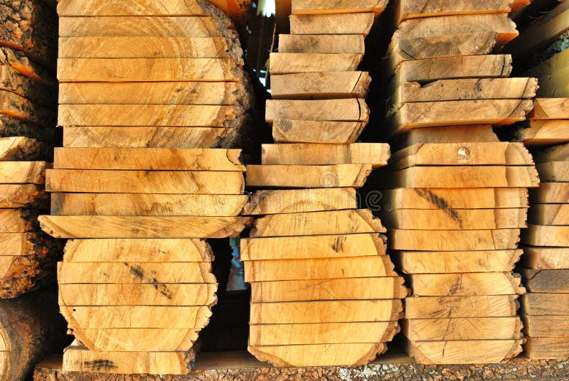 Sawn logs with bark stock photo. Image of drying, bark - 261132614