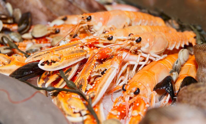 Pile of Fish on Withered Grass with Bright Float Stock Photo - Image of ...