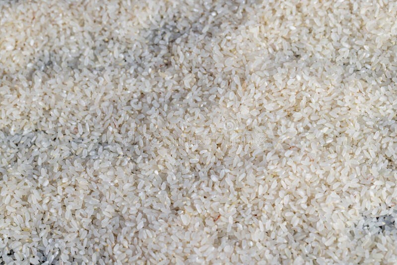 768 Scattered Rice Grains Stock Photos - Free & Royalty-Free Stock ...