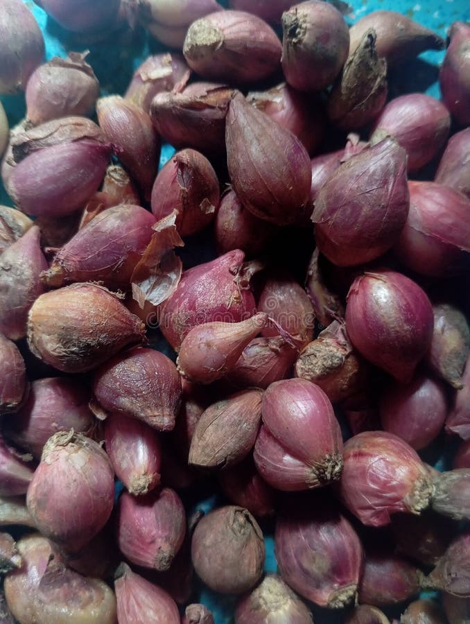 Pile of Shallots Ready To Be Cooked Stock Image - Image of life, ready ...