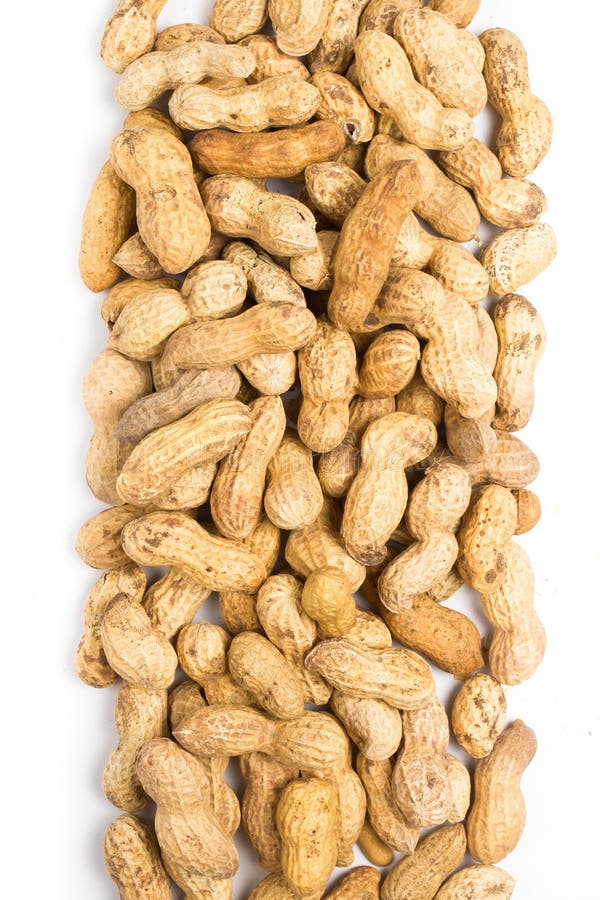 Raw Shelled Big Peanuts in a Bucket on White Background, Closeup Stock ...