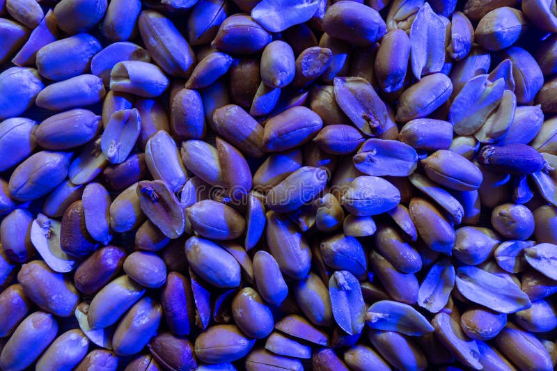 Pile of Shelled Peanuts in Blue. Stock Image - Image of agriculture ...