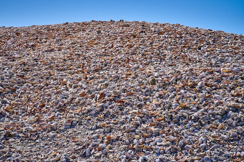 Pile of Shells at the Beach. Stock Image - Image of beach, life: 181229927