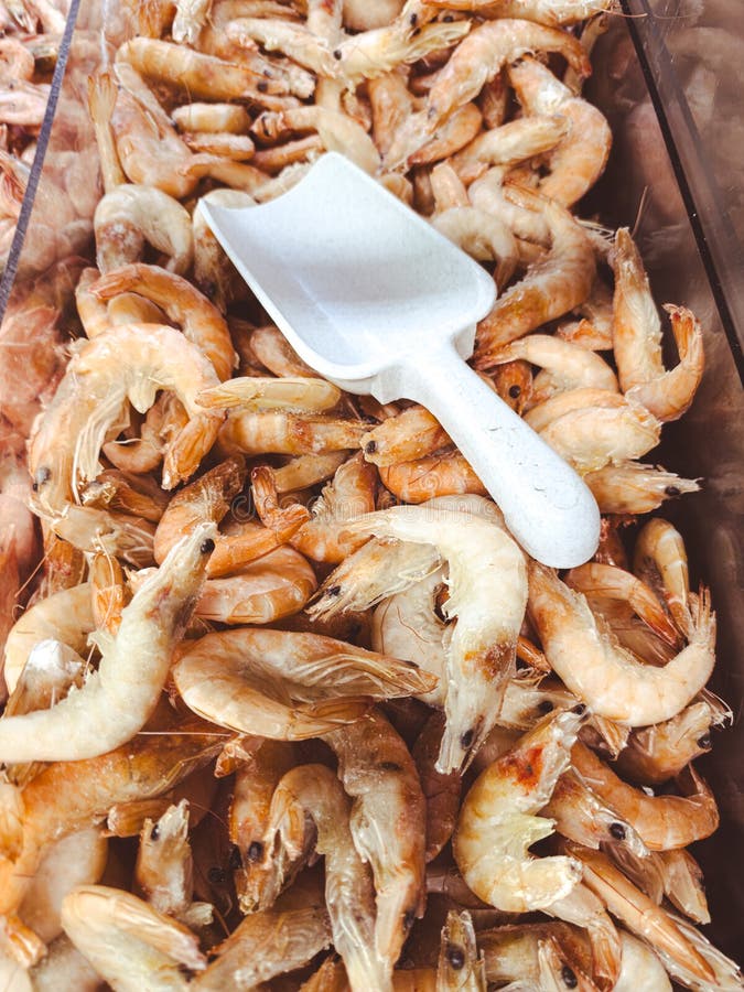A Pile of Shrimp is Sitting in a Container with a White Scoop Stock ...