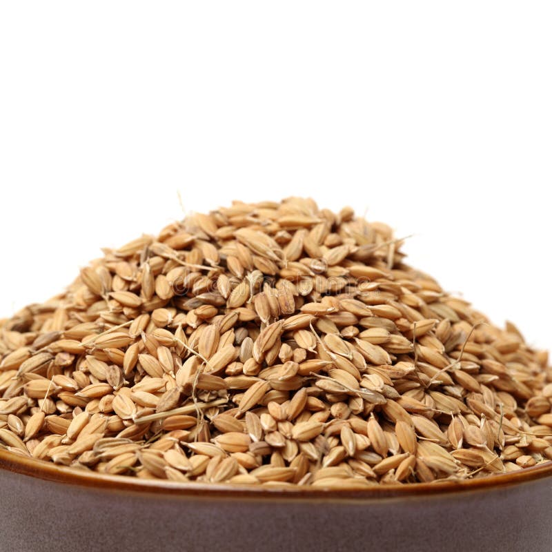 Pile Simple D'avant De Graine De Riz Non Moulu De Grain De Paddy Image ...