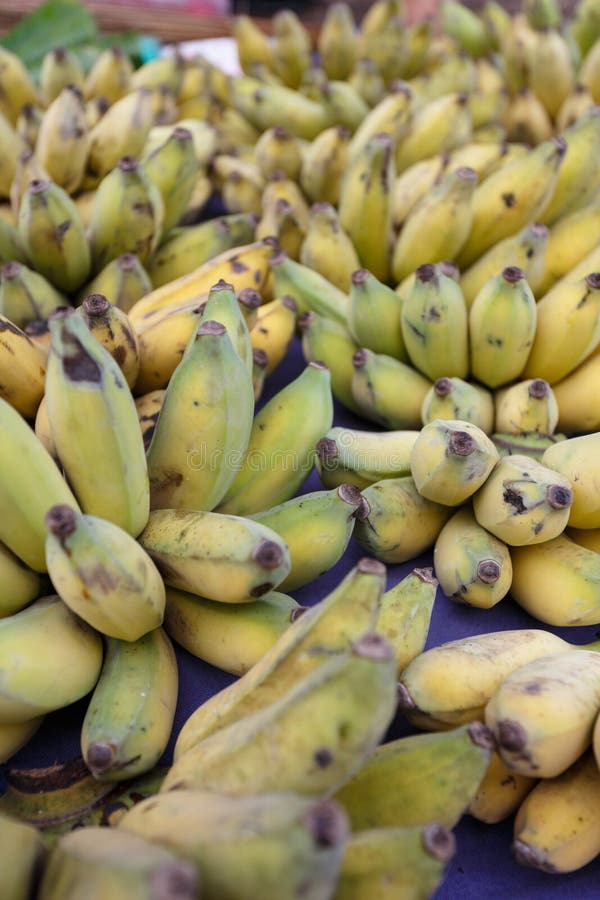 114 Banana Piles Photos - Free & Royalty-Free Stock Photos from Dreamstime