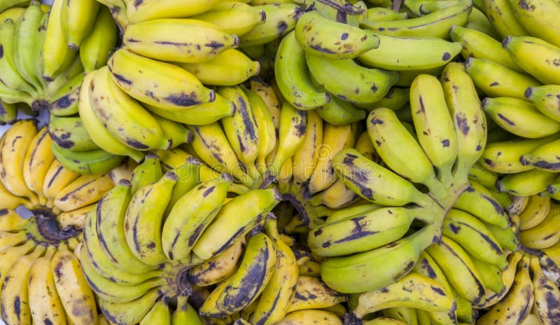 Pile of Small Bananas Background Stock Image - Image of colorful ...