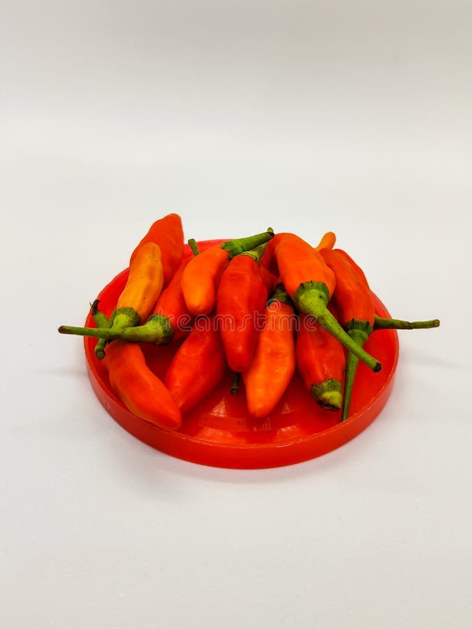 Pile of small chilies. stock image. Image of vegetable - 358646655