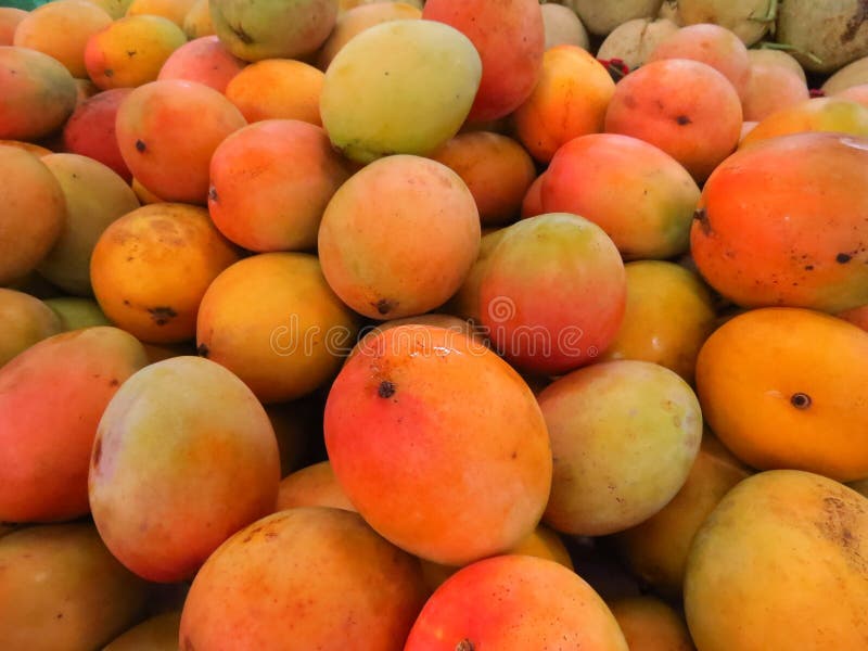 Pile of Small Multicolored Mangoes at a Fruit Market Stock Image ...
