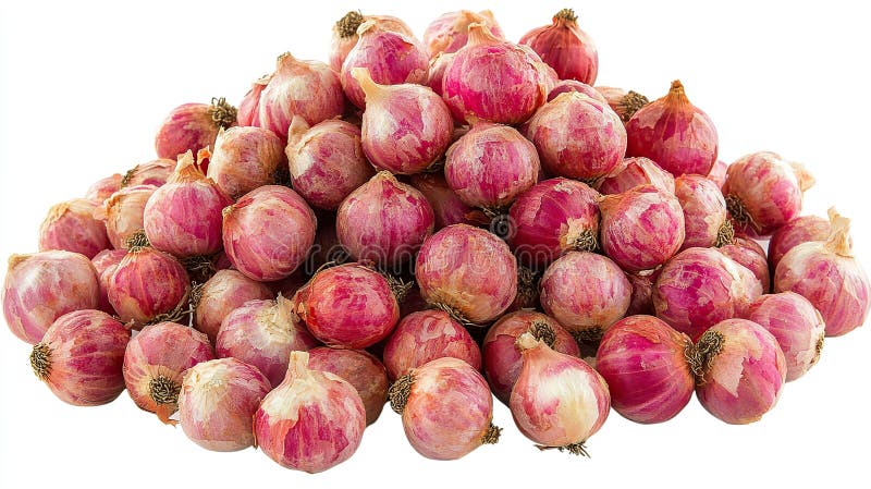 Pile of small red onions stock illustration. Illustration of organic ...