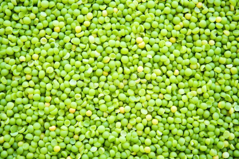 Pile of Smooth, Round Green Peas Tightly Packed Stock Illustration ...