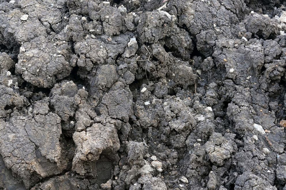 A Pile of Soil in the Construction Site, Pollution of the Environment ...