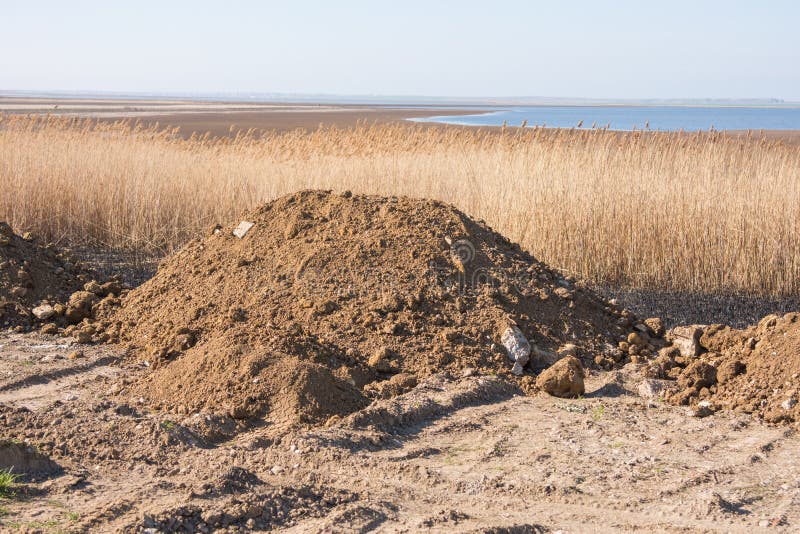 Pile Soil Intended for Sleep Swamp Stock Image - Image of reeds, debris ...